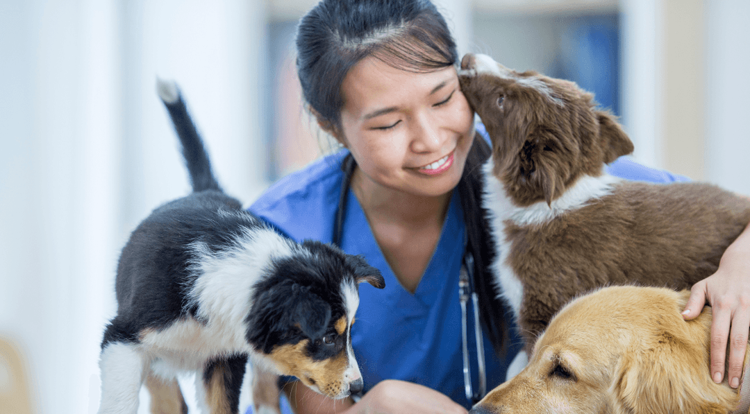 ELEARNING.VET - Continuous Learning For Veterinary Professionals